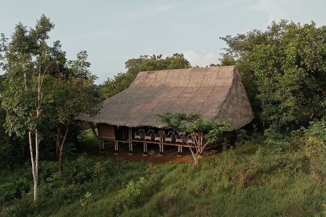 Jahoo: Gibbon Tracking Walk in Keo Seima Wildlife Sanctuary - Key Points