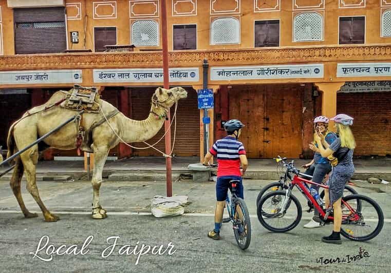 Jaipur: 3-Hour Morning Bike Tour of Jaipur Old City - Key Points