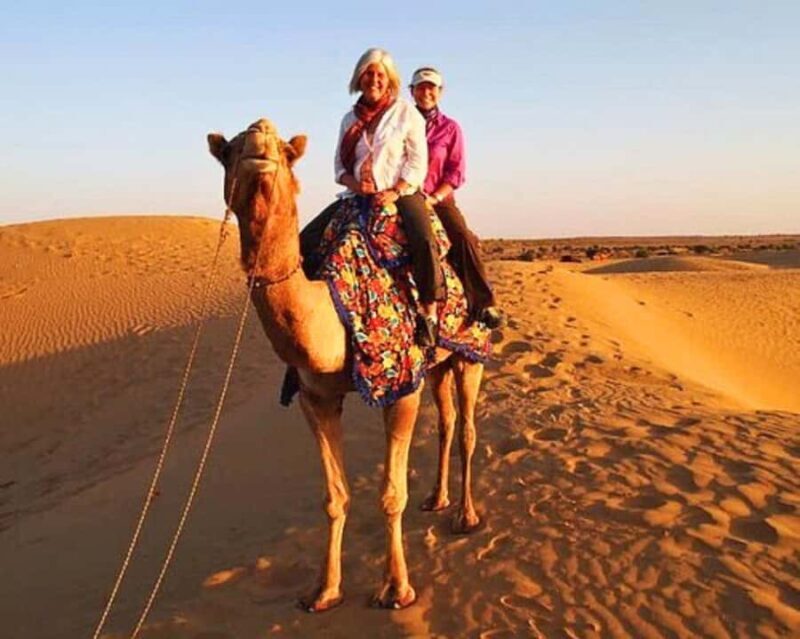 Jaipur: Ajmer & Pushkar Day Trip with Lunch and Camel Ride - Key Points