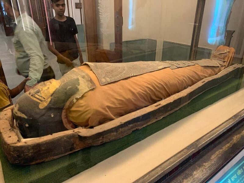 Jaipur: Albert Hall Museum Guided Walking Tour+Entry Ticket - Why This Tour Is a Solid Choice