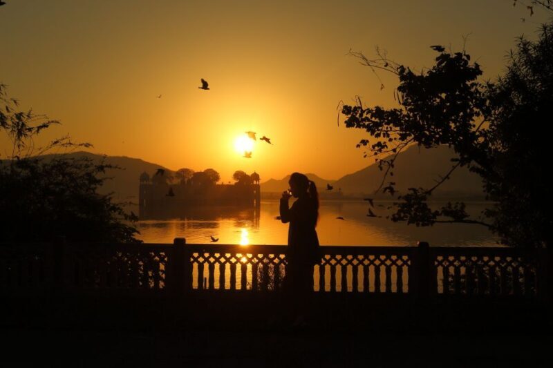 Jaipur Amer Fort, Jal Mahal & Stepwell Private Half-Day Tour - The Sum Up