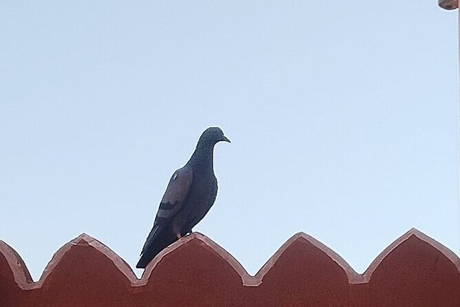 Jaipur City Full Day Luxury Private Tour - FAQs