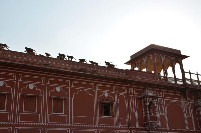 Jaipur: City Highlights Tour with Local Transport - The Sum Up