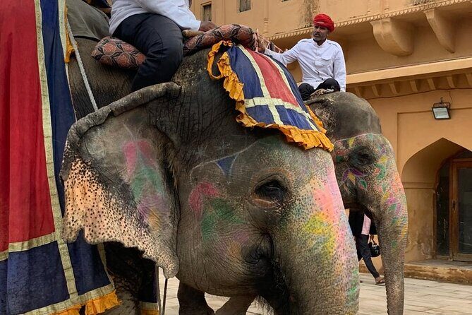 Jaipur Discovery with Guide and driver - Final Thoughts