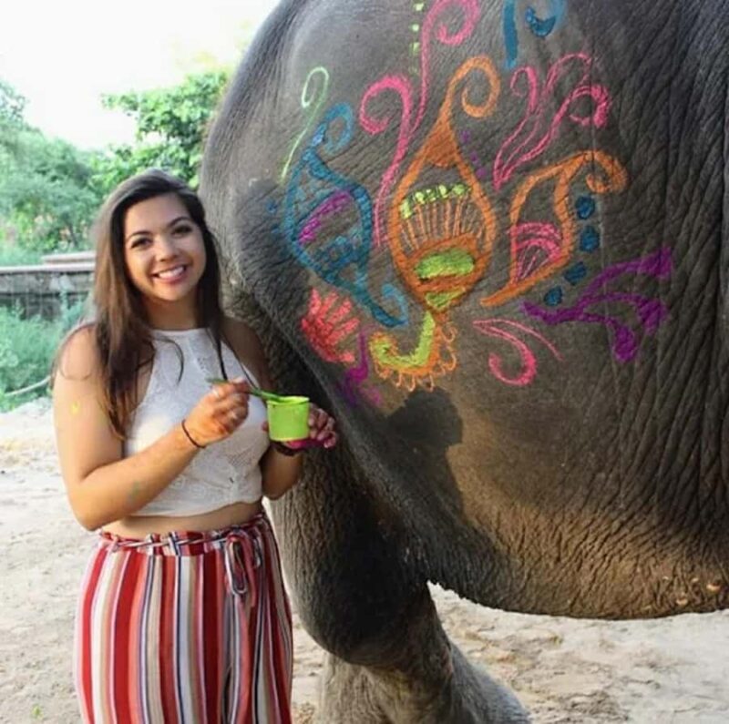 Jaipur: Elephant Encounter & Royal Sightseeing by Car - Key Points