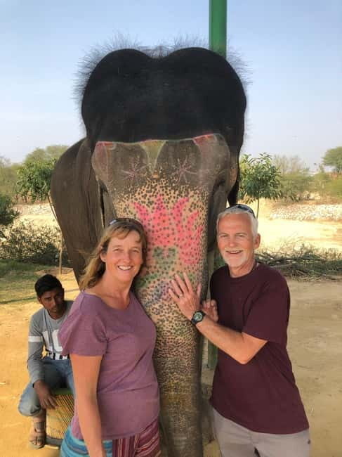 Jaipur: Elephant Interaction Tour - An Honest Look at the Jaipur Elephant Interaction Tour