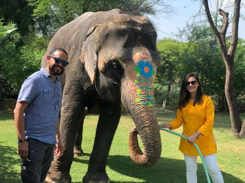 Jaipur: Elephant Interaction Tour - Who Should Book This Experience?