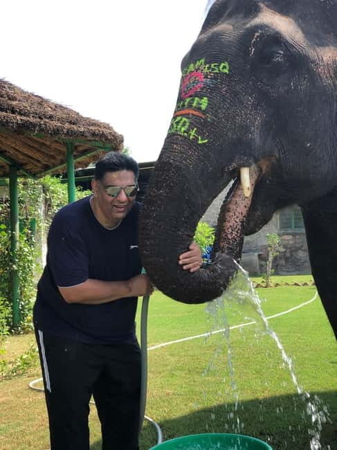 Jaipur: Elephant Interaction Tour - Final Thoughts