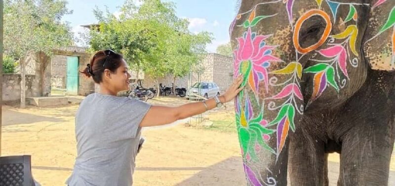 Jaipur Elephant Village: All Activity in Village with Pickup - What You Can Expect from the Tour