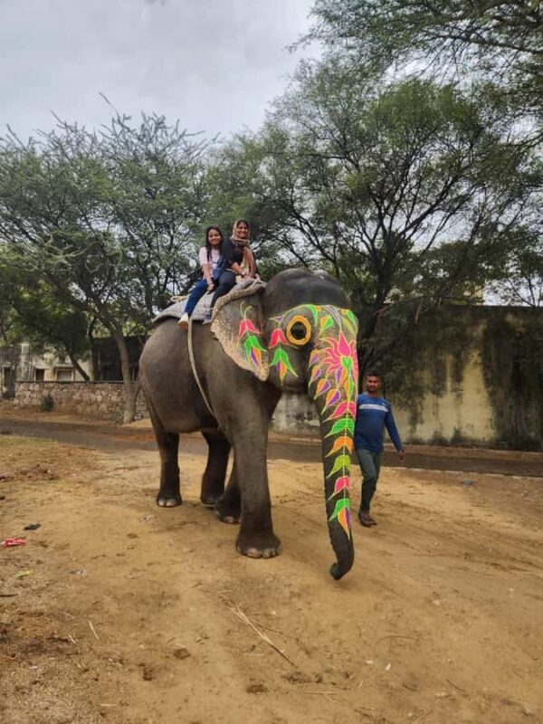 Jaipur Elephant Village: All Activity in Village with Pickup - Who Should Consider This Tour?