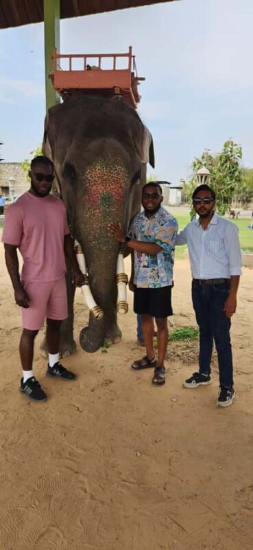 Jaipur Elephant Village: All Activity in Village with Pickup - Final Thoughts