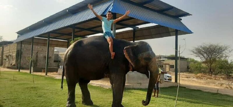 Jaipur Elephant Village: Elephant Riding, Painting, Feeding - FAQs