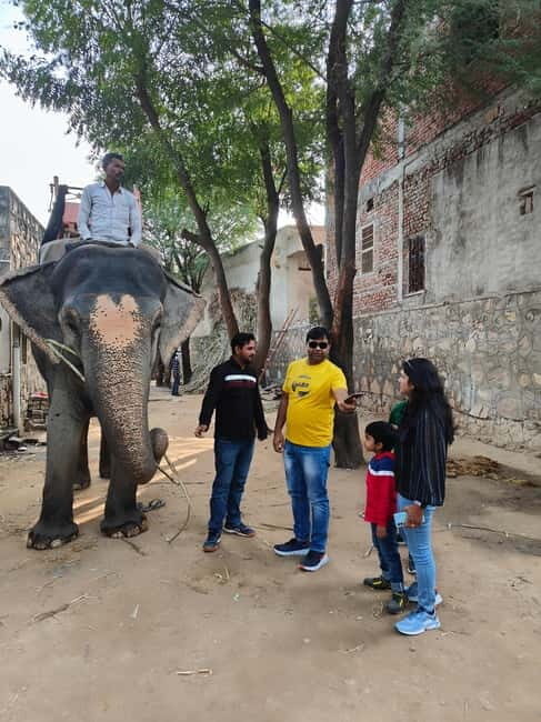 Jaipur: Full-Day city Tour By AC vehicle with Guide - A Day in Jaipur: What to Expect