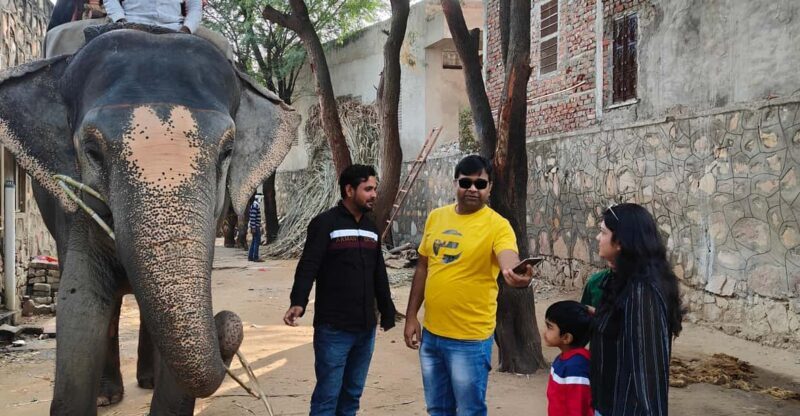 Jaipur: Full-Day city Tour By AC vehicle with Guide - FAQs
