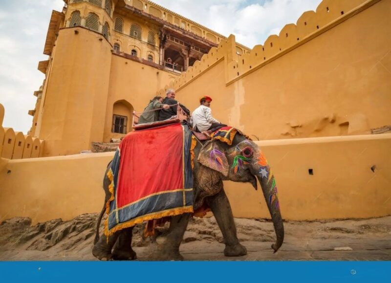 Jaipur Full Day City Tour With Female Guide (For Girls Only) - Key Points