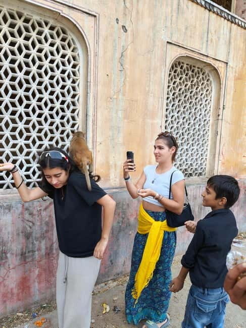 Jaipur Full-Day City Tour with Monkey Temple By AC Car - Explore Jaipur’s Charm: A Full-Day Guided Tour with Monkey Temple