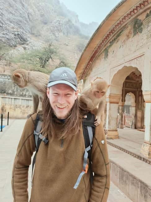 Jaipur Full-Day City Tour with Monkey Temple By AC Car - What the Reviews Say