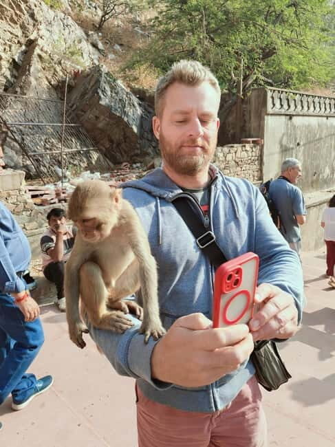 Jaipur Full-Day City Tour with Monkey Temple By AC Car - The Sum Up