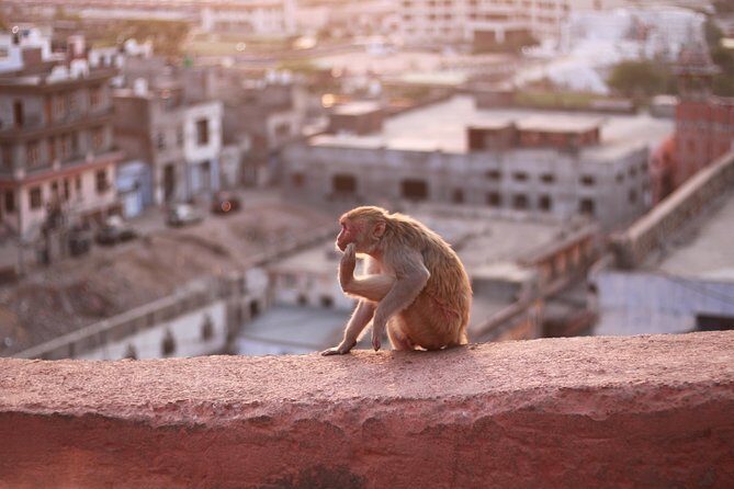 Jaipur Full Day - Practical Tips for Travelers