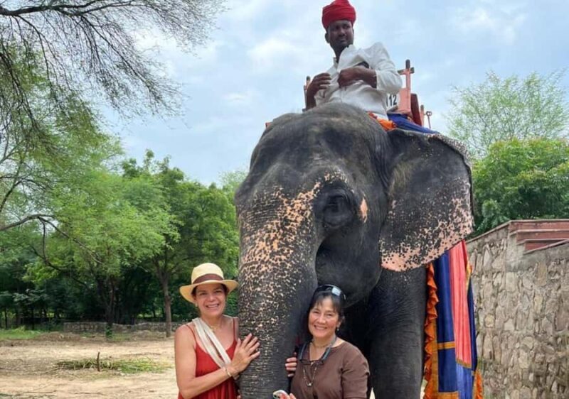 Jaipur : Full day Jaipur City Tour and Drop Delhi - Key Points