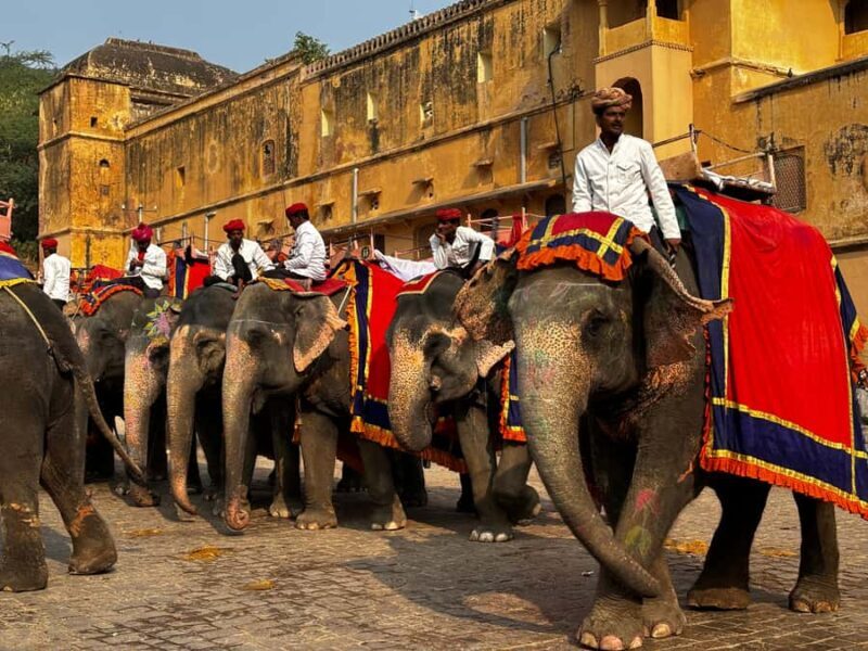 Jaipur : Full day Jaipur City Tour and Drop Delhi - Lunch Break: Rajasthani Cuisine and Local Flavors