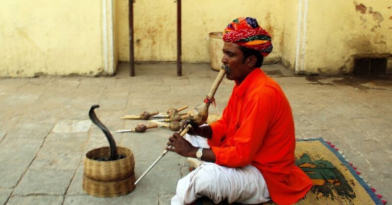 Jaipur: Full-Day Private City Tour by Car with Guide - The Sum Up