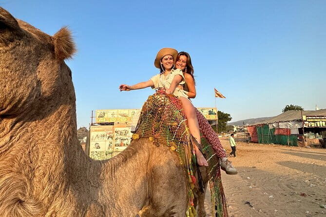 Jaipur Full-Day Sightseeing Tour - Who Should Consider This Tour?