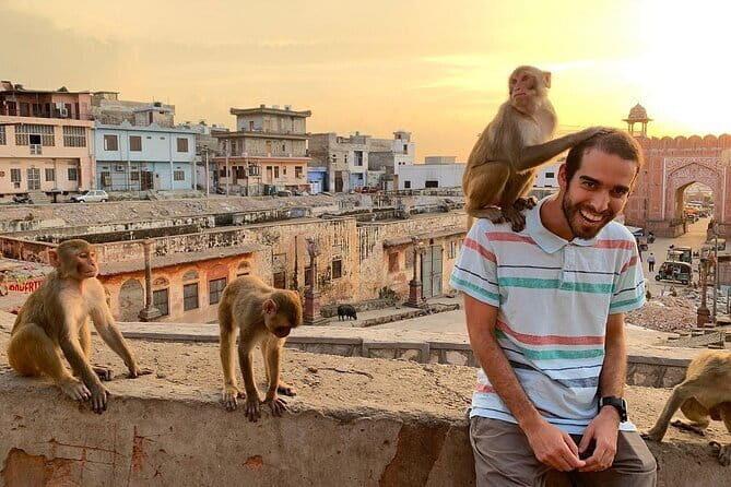 Jaipur Half-Day Tour with Flower Market & Sunset Views - A Practical and Authentic Look at the Jaipur Half-Day Tour with Flower Market & Sunset Views