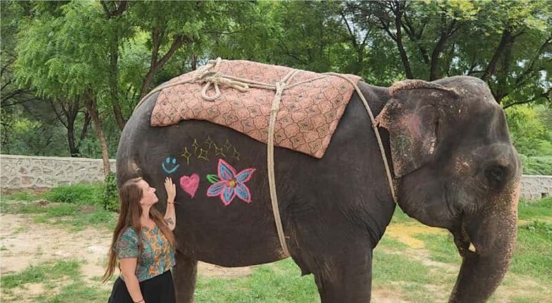 Jaipur: Hathi Gaon Elephant Riding Painting-Feeding Activity - Key Points