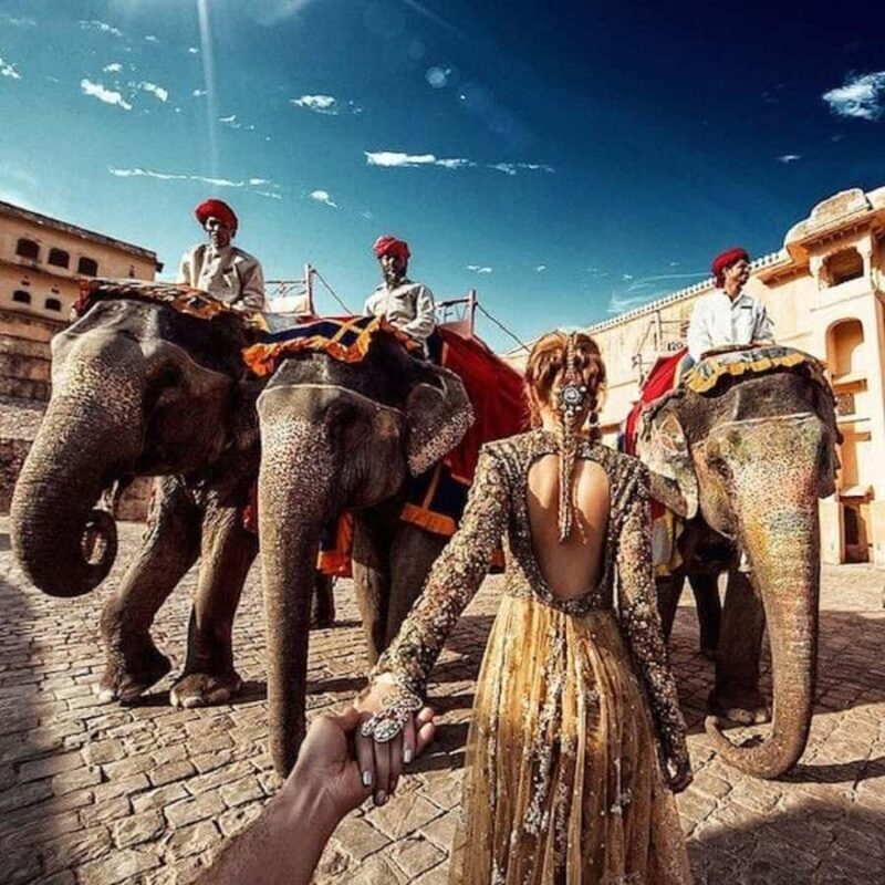 Jaipur: Hathi Gaon Elephant Riding Painting-Feeding Activity - What Makes the Hathi Gaon Tour Special?