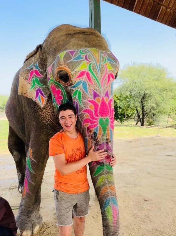 Jaipur: Hathi Gaon Elephant Riding Painting-Feeding Activity - Price and Value