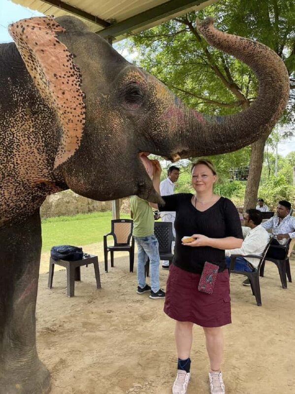 Jaipur: Hathi Gaon Elephant Riding Painting-Feeding Activity - The Sum Up