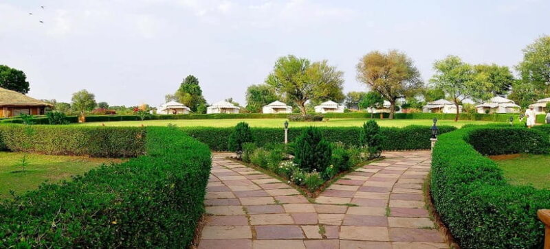 Jaipur: Haunted Bhangarh Fort and Abhaneri Stepwell Day Trip - Who Will Love This Tour?