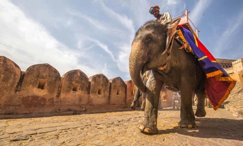 Jaipur Heritage: Day Tour By Tuk Tuk & Local Food With Guide - Key Points