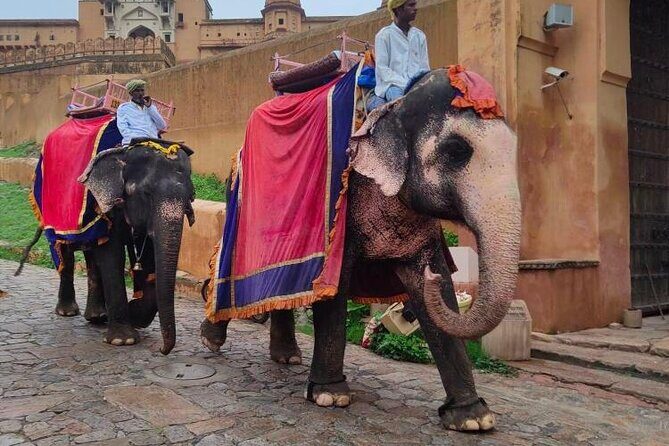 Jaipur Heritage Photography Tour - Final Thoughts