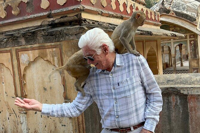 Jaipur Heritage Tour with Monkey Temple & Nahargarh Sunset - Final Thoughts: Is This Tour for You?