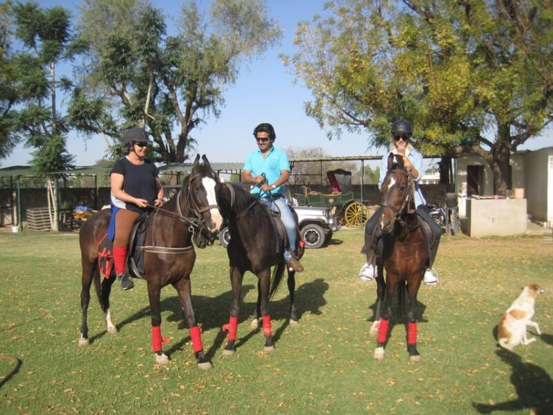 Jaipur Horse Riding Adventure - Introduction: A Unique Way to Experience Rajasthan
