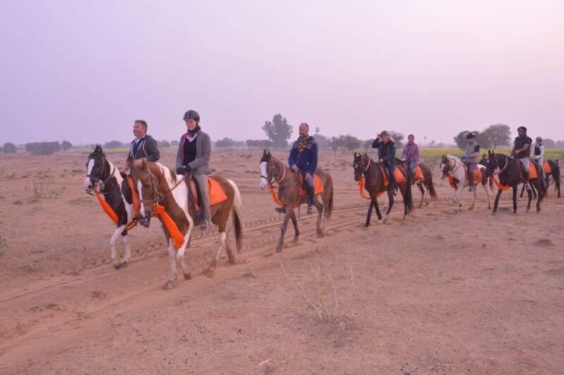Jaipur Horse Riding Adventure - Final Thoughts