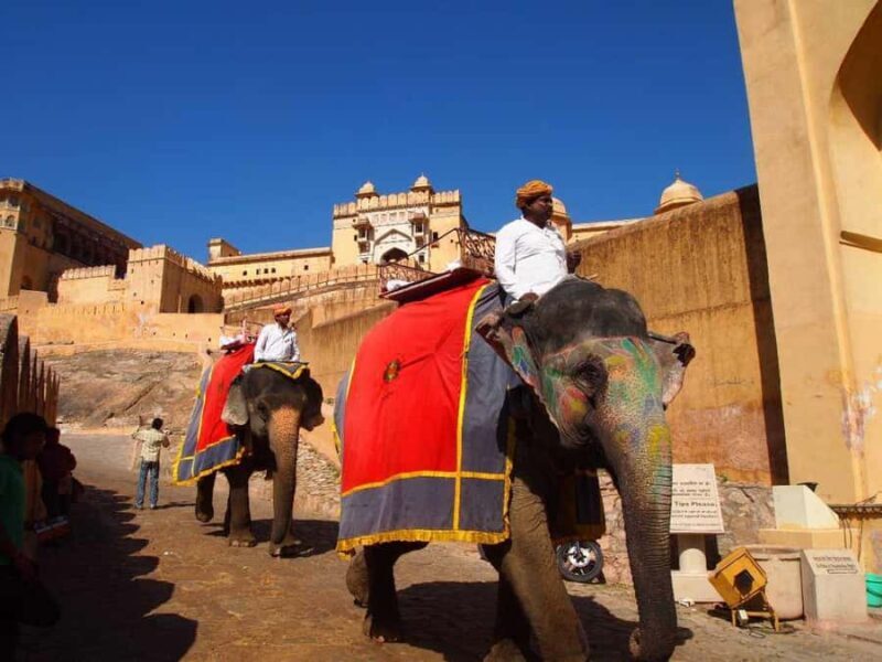 Jaipur in a Day: Explore the Capital of Rajasthan Pink City - Who Will Love This Tour?