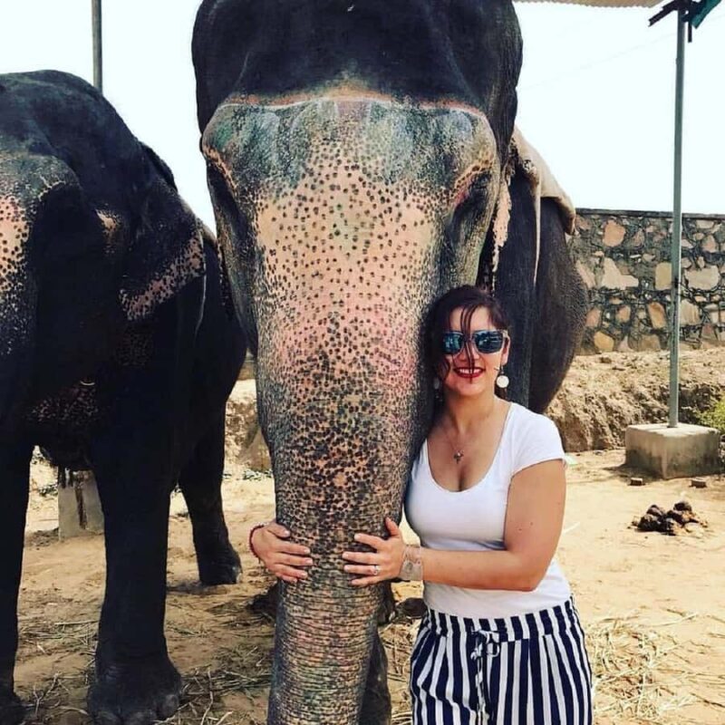 Jaipur: Interactive Elephant Experience Feed, Paint & Ride - Final Thoughts on Value and Experience