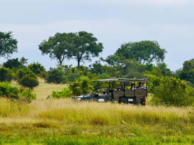 Jaipur: Jhalana Amagarh Leopard Reserve 4×4 Jeep Safari - Key Points