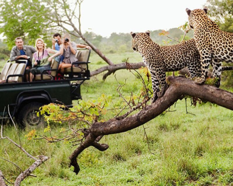 Jaipur: Jhalana/Amargarh Leopard Safari Private Tour - Discovering Rajasthan’s Wildlife: An In-Depth Look