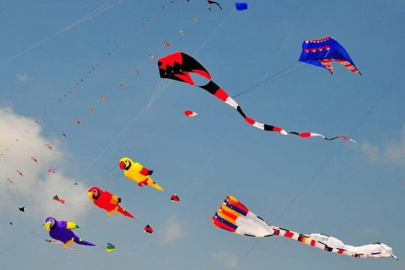 Jaipur: Makar Sankranti Kite Festival with Local Family - Key Points