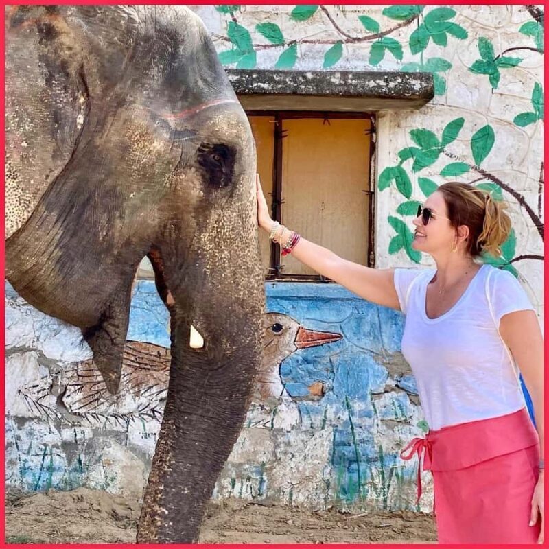 Jaipur: Night Tuk Tuk Tour with English Speaking Driver - Key Points