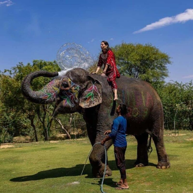 Jaipur: Night Tuk Tuk Tour with English Speaking Driver - An Introduction to Jaipur’s Nightscape