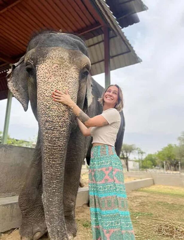 Jaipur: Night Tuk Tuk Tour with English Speaking Driver - The Sum Up: Who Will Love This Tour?