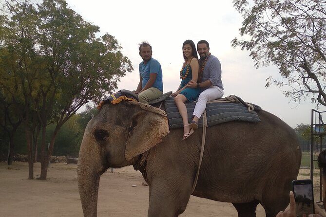 Jaipur Pink City Private Day Trip from Delhi - Starting the Day: Flexible Pickup and Early Departure