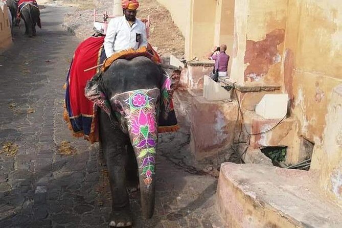 Jaipur Private City Tour By Car (All-Inclusive) - Price and Value