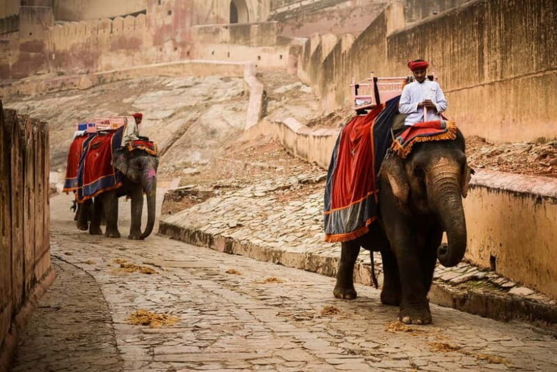 Jaipur: Private Full-Day City Tour By Tuk-Tuk with Pick-Up - Frequently Asked Questions