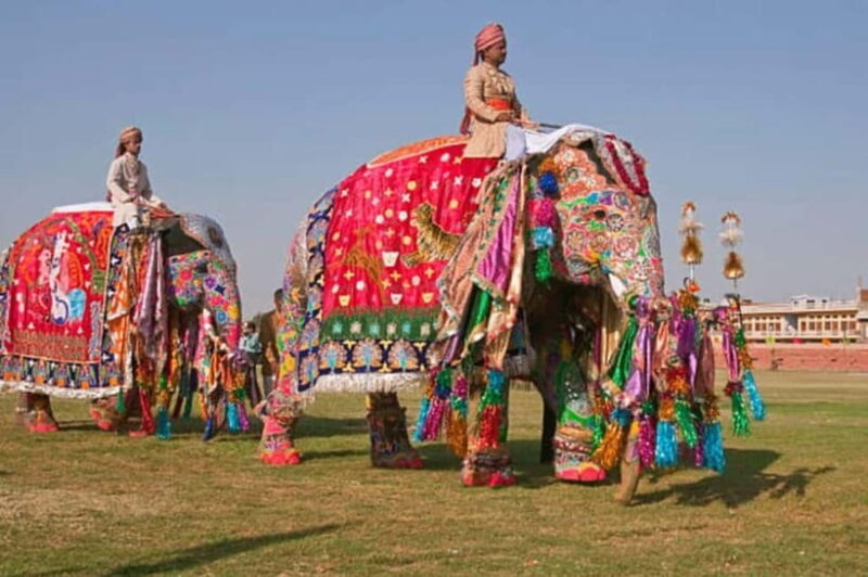 Jaipur: Private Full-Day City Tour with Car and Guide - Practical Tips for Maximizing Your Tour Experience